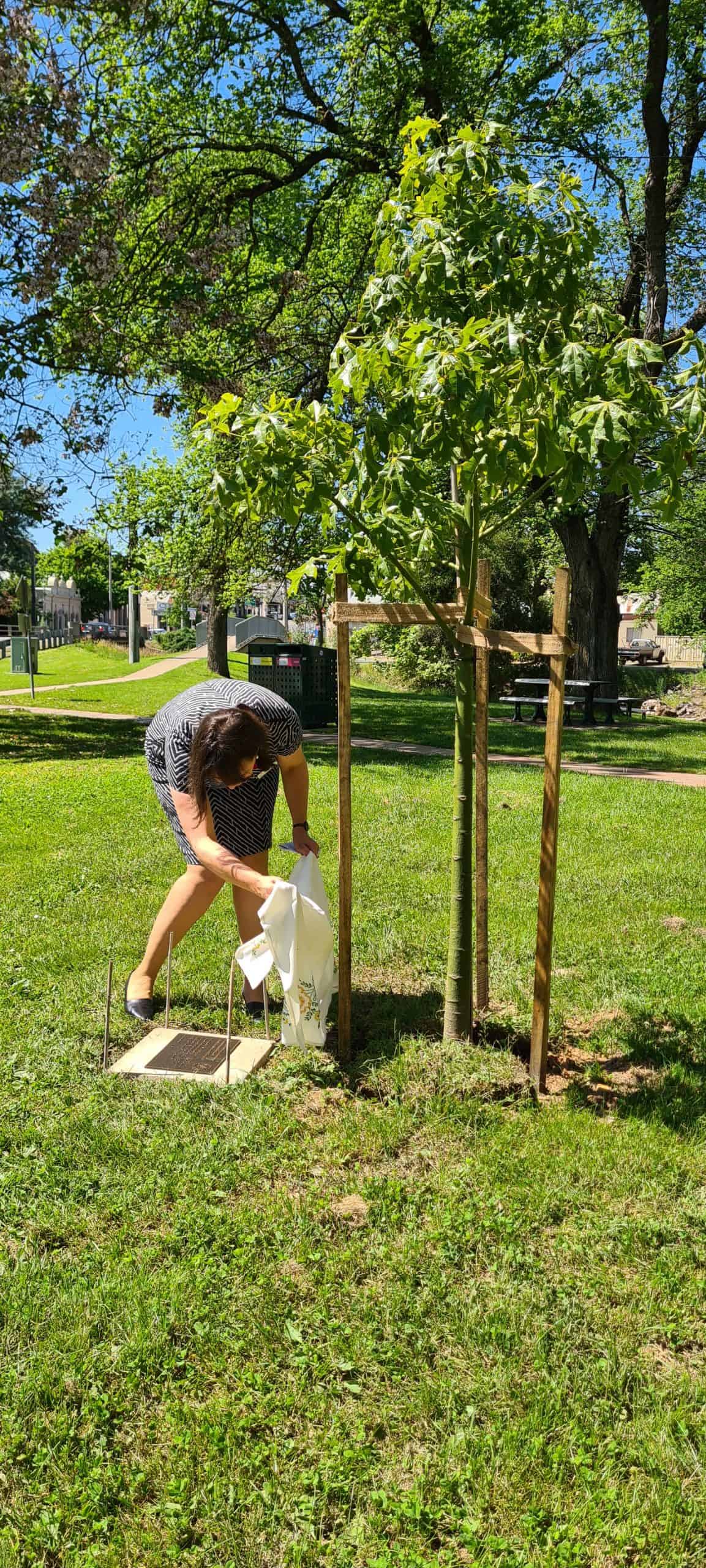 Projects - Alexandra & District Open Gardens