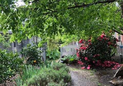 Open Gardens - Alexandra & District Open Gardens